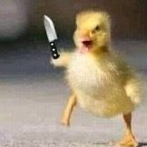 🦄 @noxaasht - Noxa - TikTok