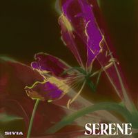 SIVIA - Serene | TikTok